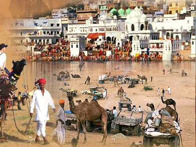 Jaipur Ajmer Pushkar Day Tour